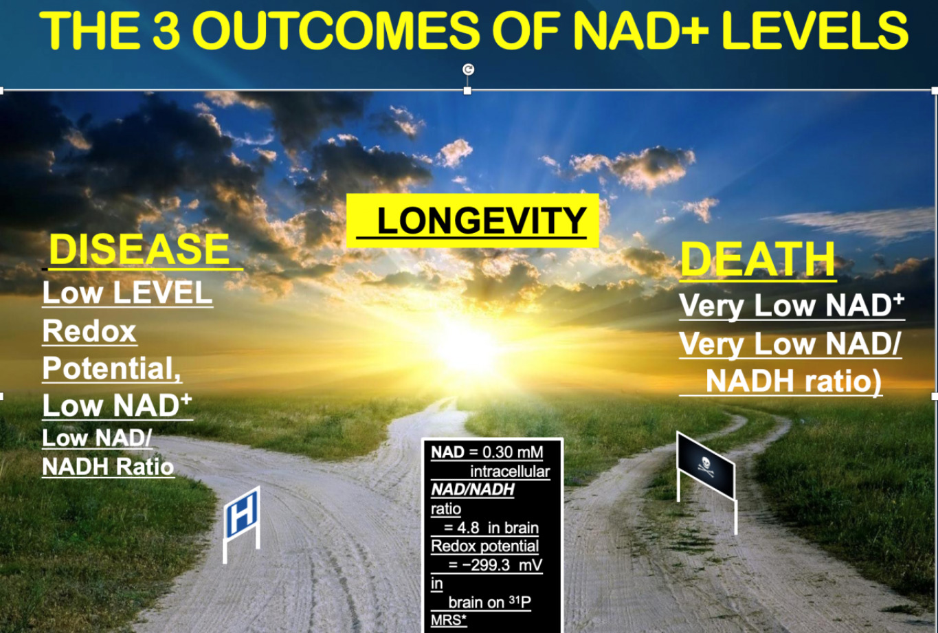 NAD: ONE OF LIFE’S ESSENTIALS - PUR-FORM