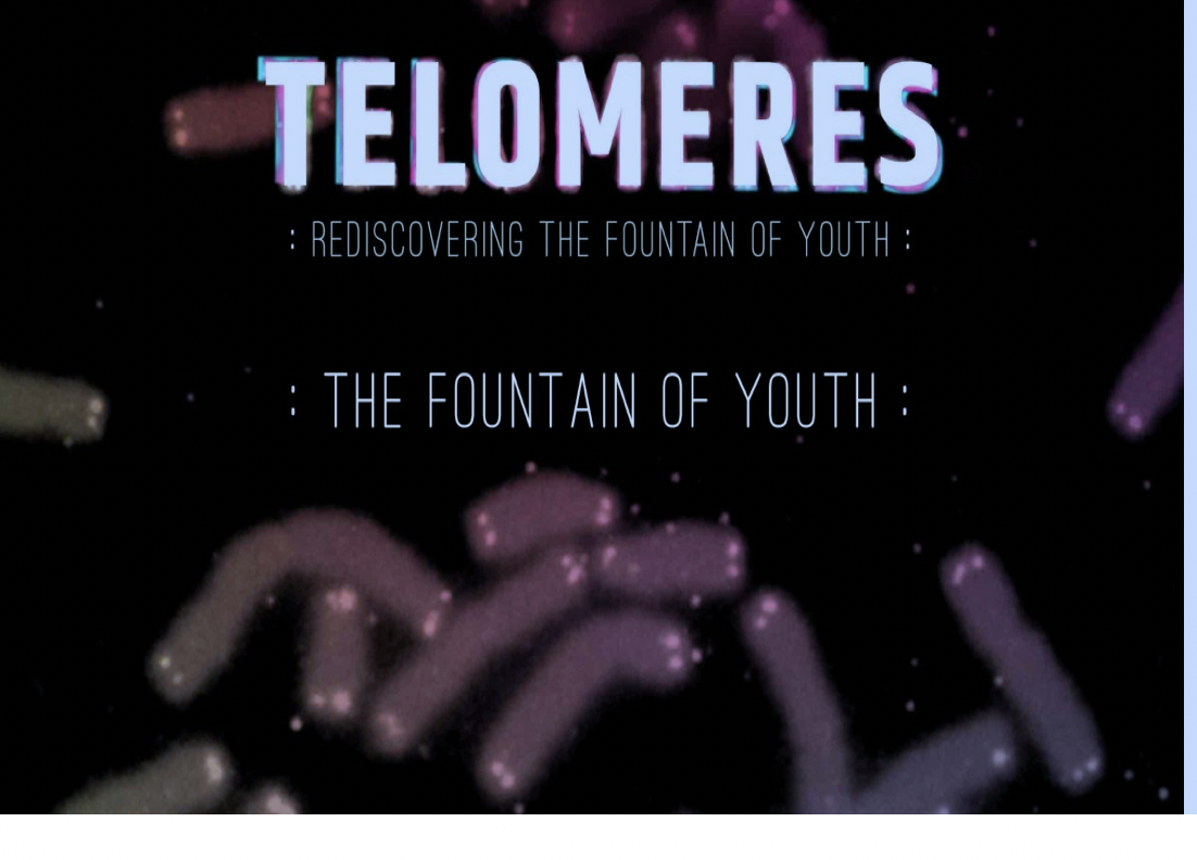 Peripheral Blood Stem Cells: A Powerful Anti-Aging Tool And Stem Cell ...