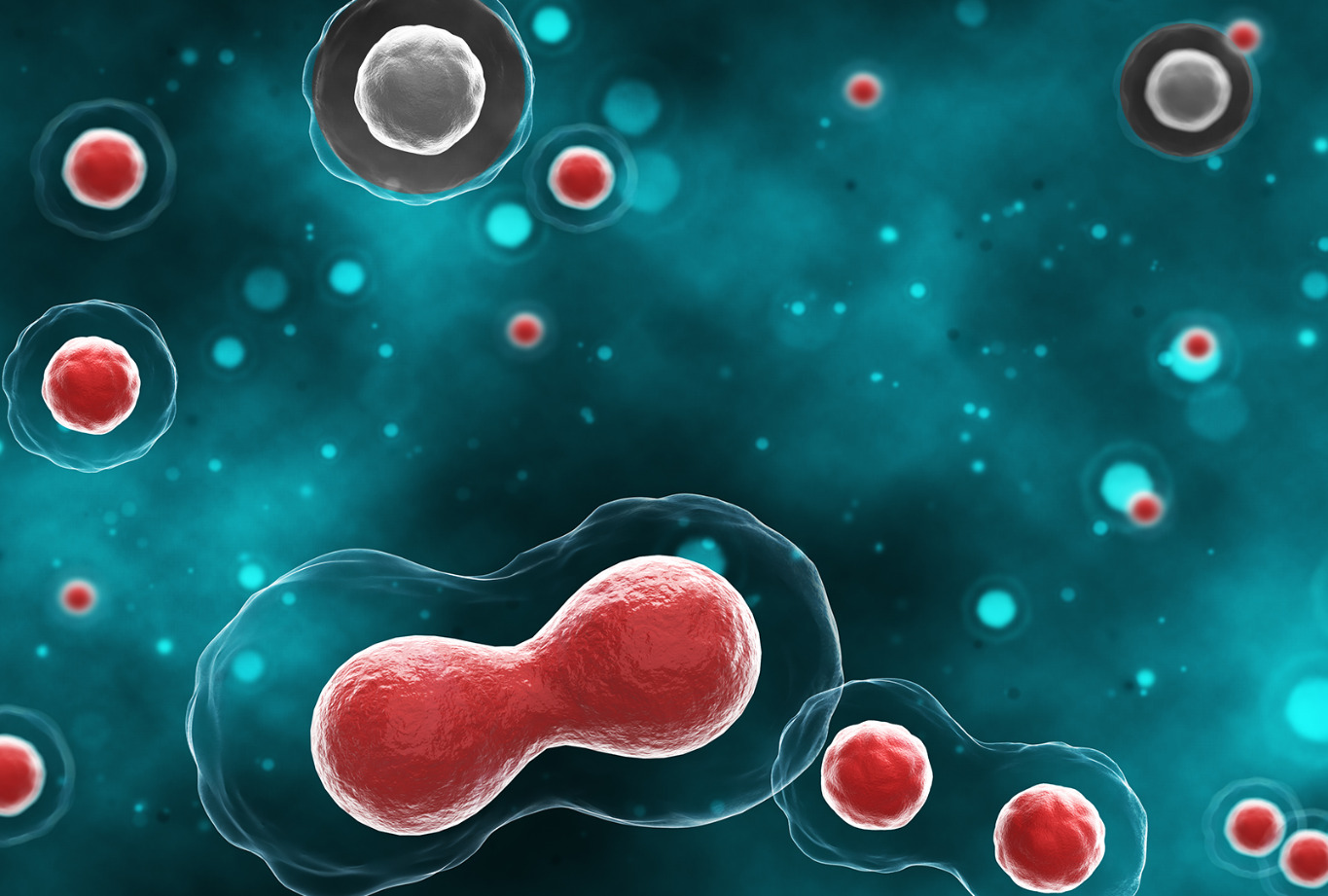 Next-Level Testing For Senescent Cells - PUR-FORM