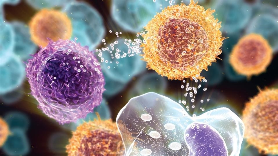 Cyto-Amino-Complexes - PUR-FORM