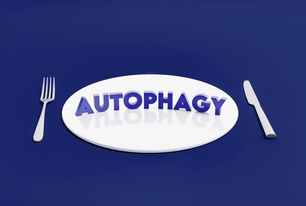 THE ULTIMATE GUIDE TO AUTOPHAGY - PUR-FORM