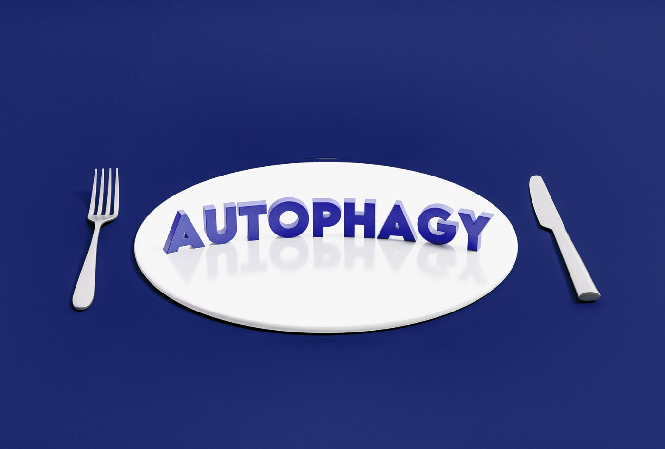 THE ULTIMATE GUIDE TO AUTOPHAGY - PUR-FORM